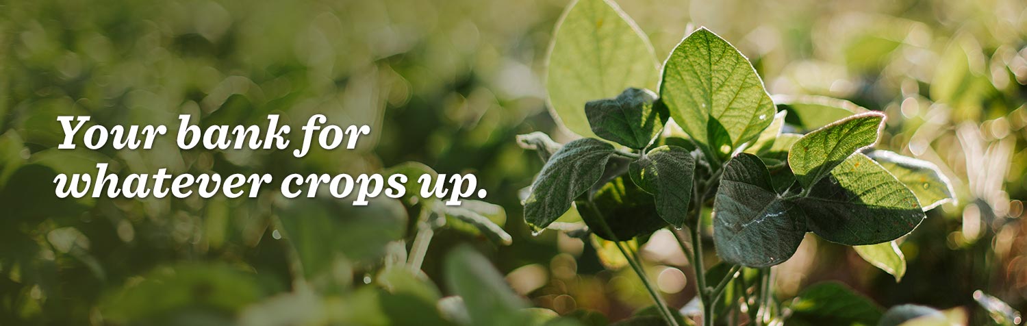 Welcome | MS Land Bank