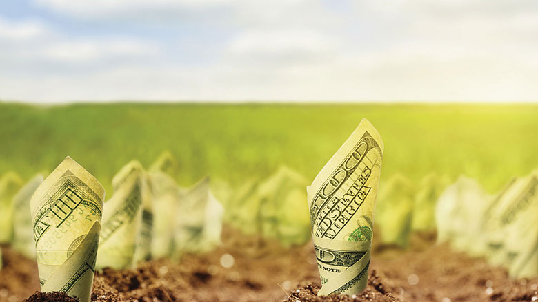 Capital Farm Credit | Premier Ag and Land Lender in Texas